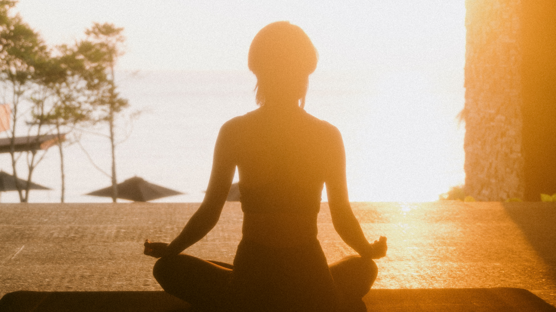 The Wellness Journey MASON SPA & Fitness